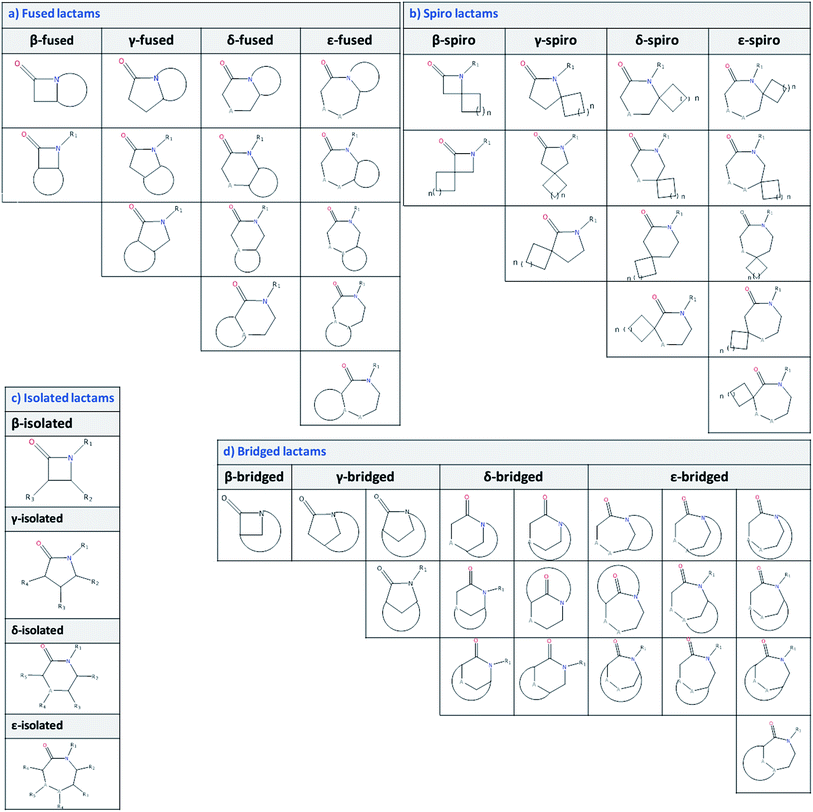 Exploring The Chemical Space And The Bioactivity Profile Of Lactams A