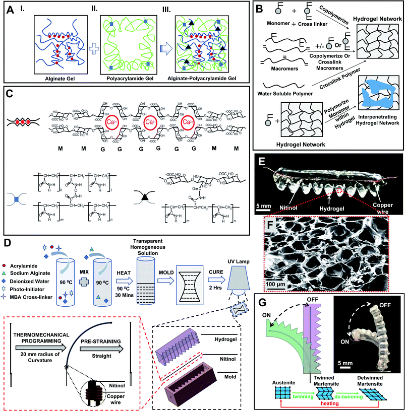 Hydrogel-matrix encapsulated Nitinol actuation with self-cooling ...