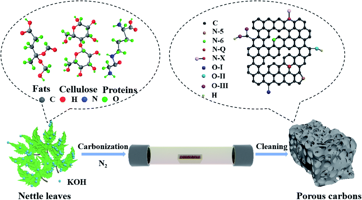Dual-doped hierarchical porous carbon derived from biomass for advanced supercapacitors and ...