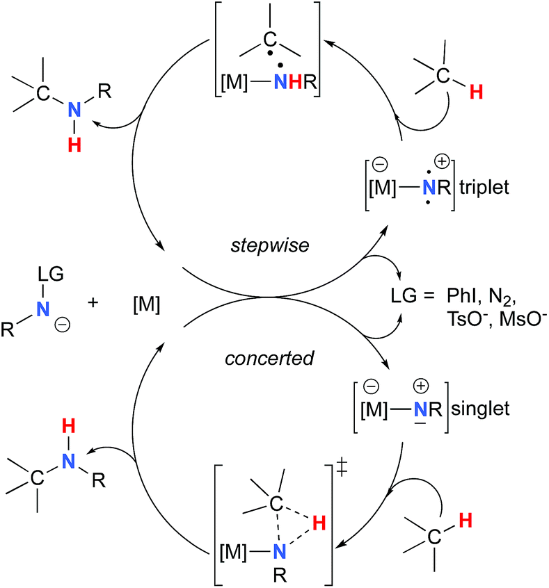 Rhodium( ii )-catalyzed C–H aminations using N -mesyloxycarbamates ...
