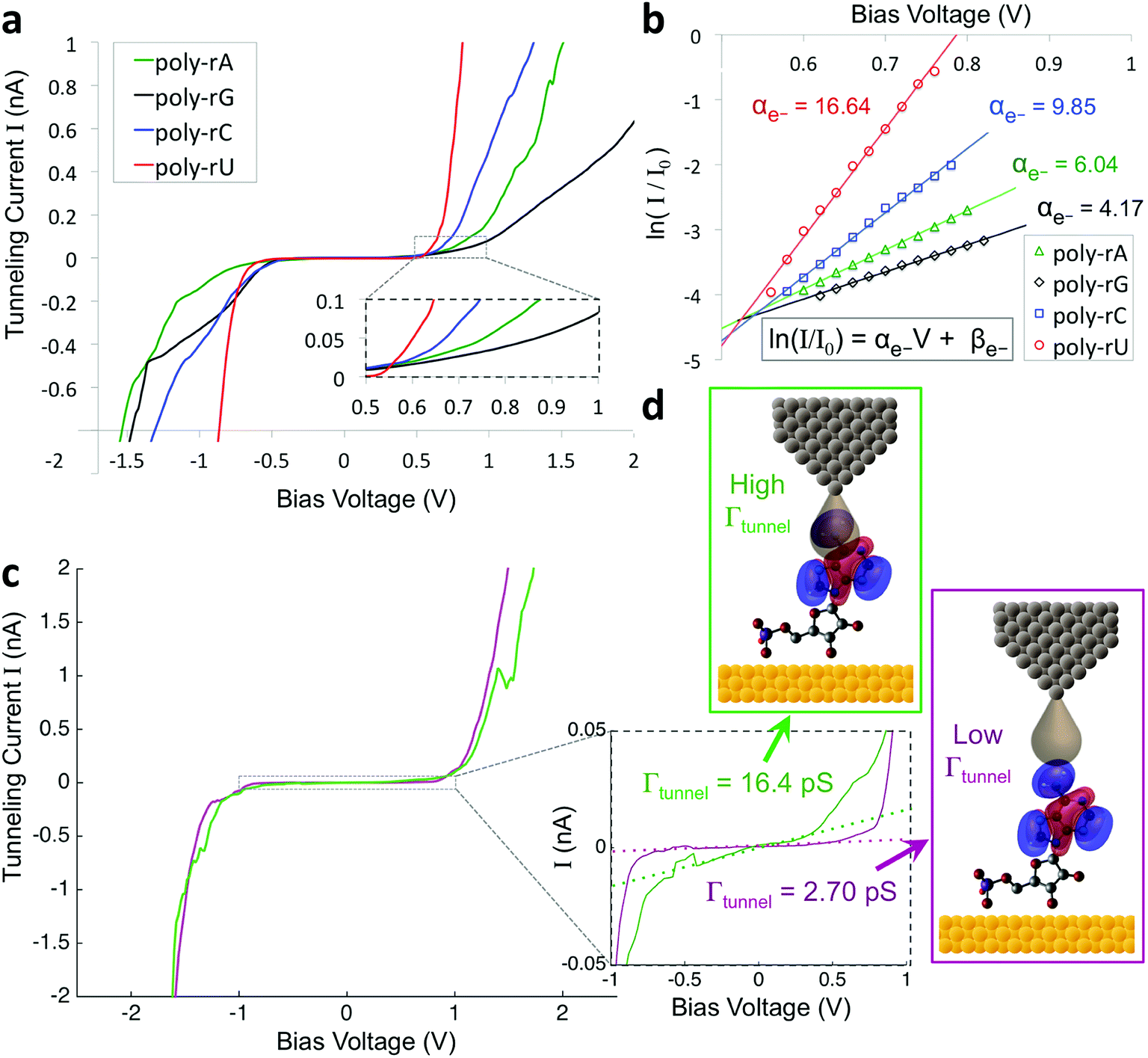 Nucleotide and structural label identification in single RNA molecules ...