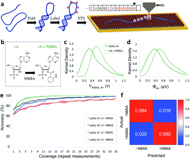 Nucleotide and structural label identification in single RNA molecules ...