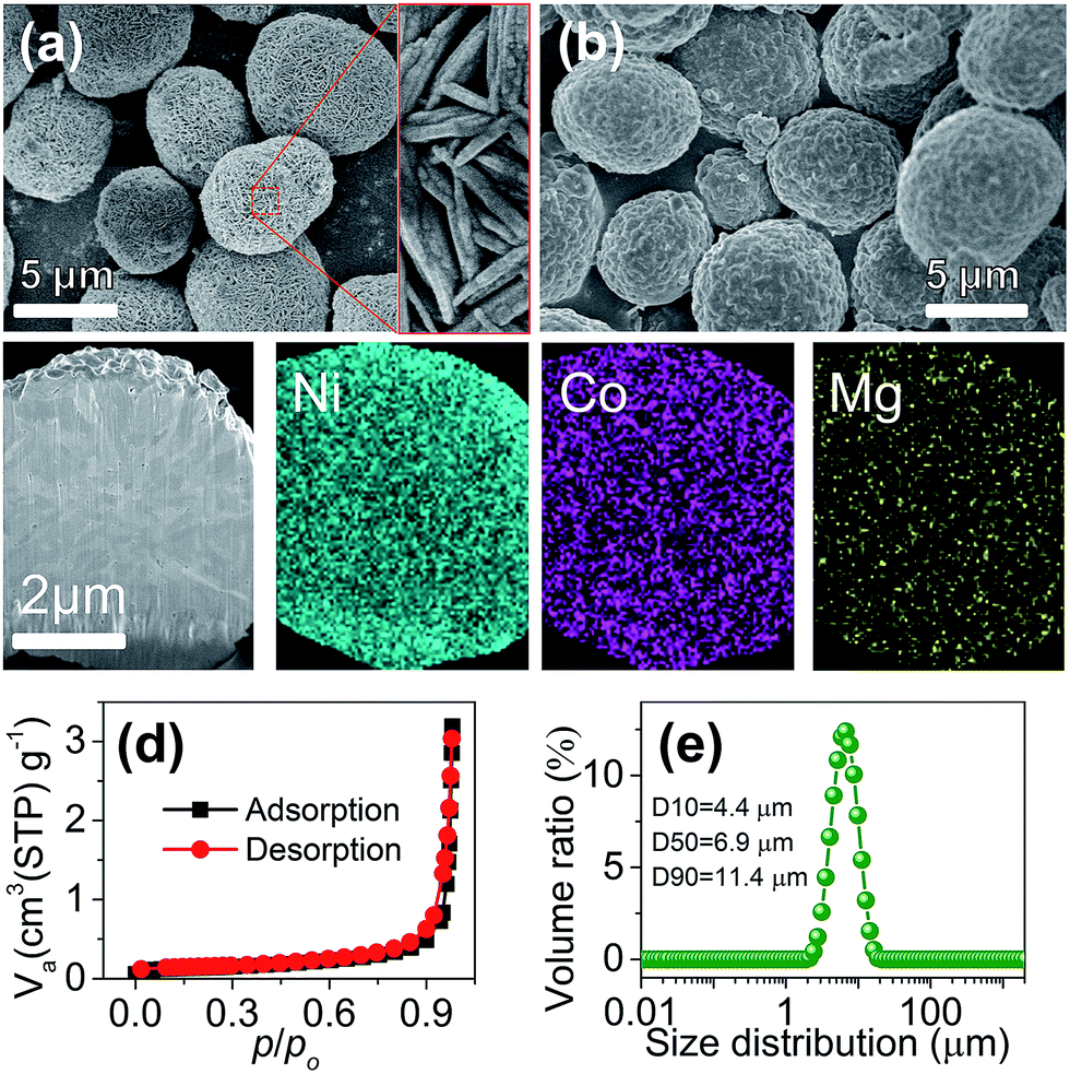 Stabilizing nickel-rich layered oxide cathodes by magnesium doping for rechargeable lithium-ion ...