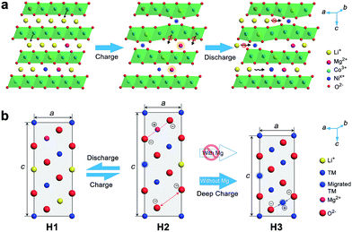 Stabilizing nickel-rich layered oxide cathodes by magnesium doping for ...