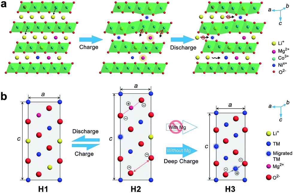 Stabilizing nickel-rich layered oxide cathodes by magnesium doping for rechargeable lithium-ion ...