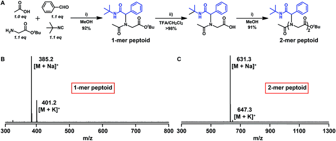 A versatile strategy for the synthesis of sequence-defined peptoids ...