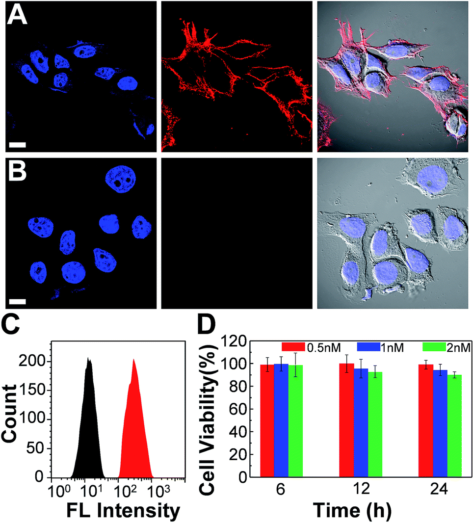Molecular design of near-infrared fluorescent Pdots for tumor targeting ...