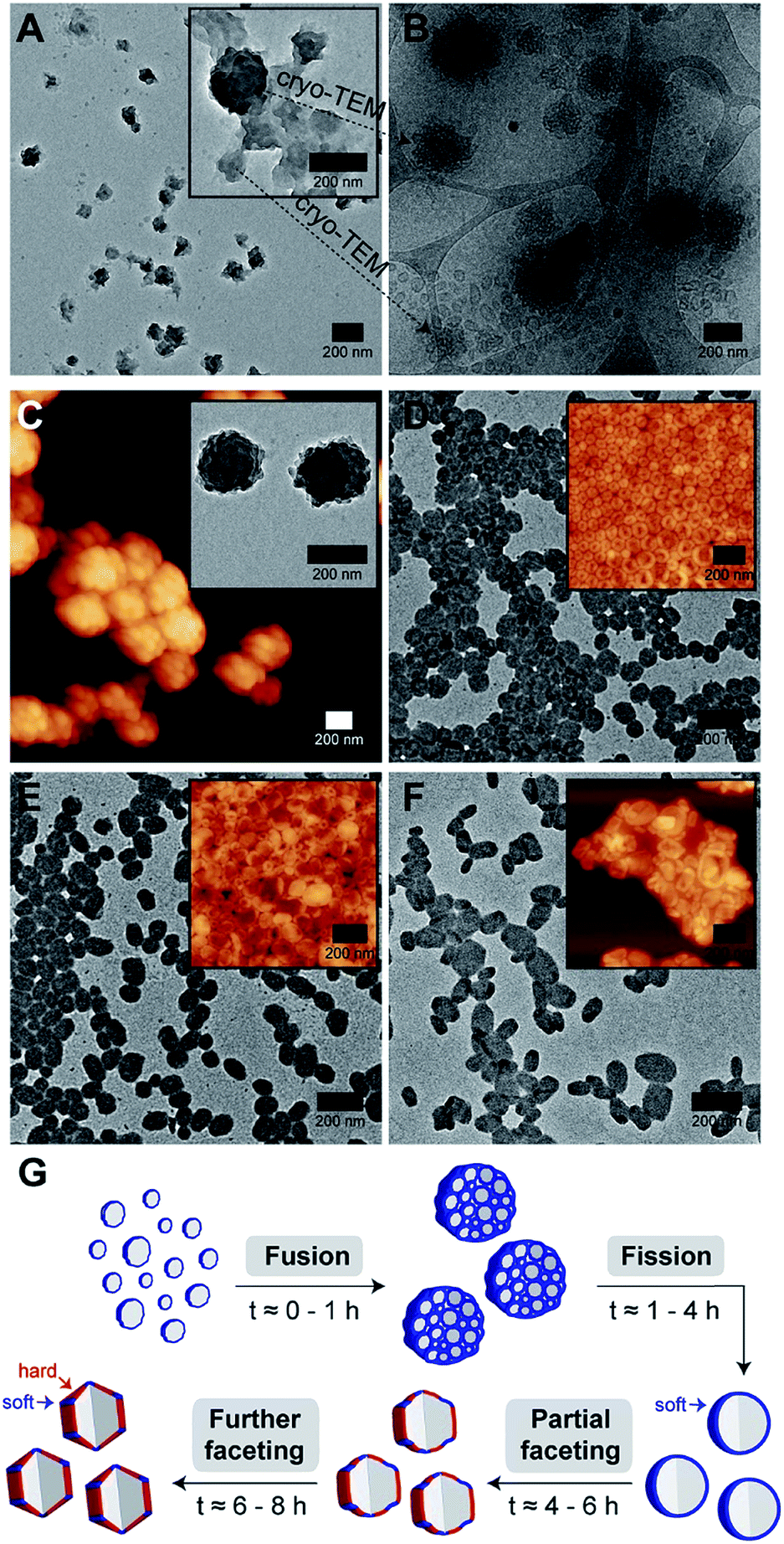 Faceted polymersomes: a sphere-to-polyhedron shape transformation ...