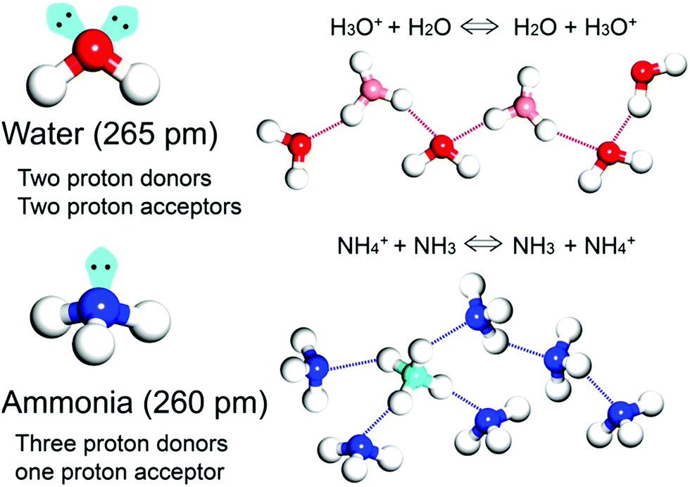 Proton transfer in hydrogen-bonded degenerate systems of water and ...