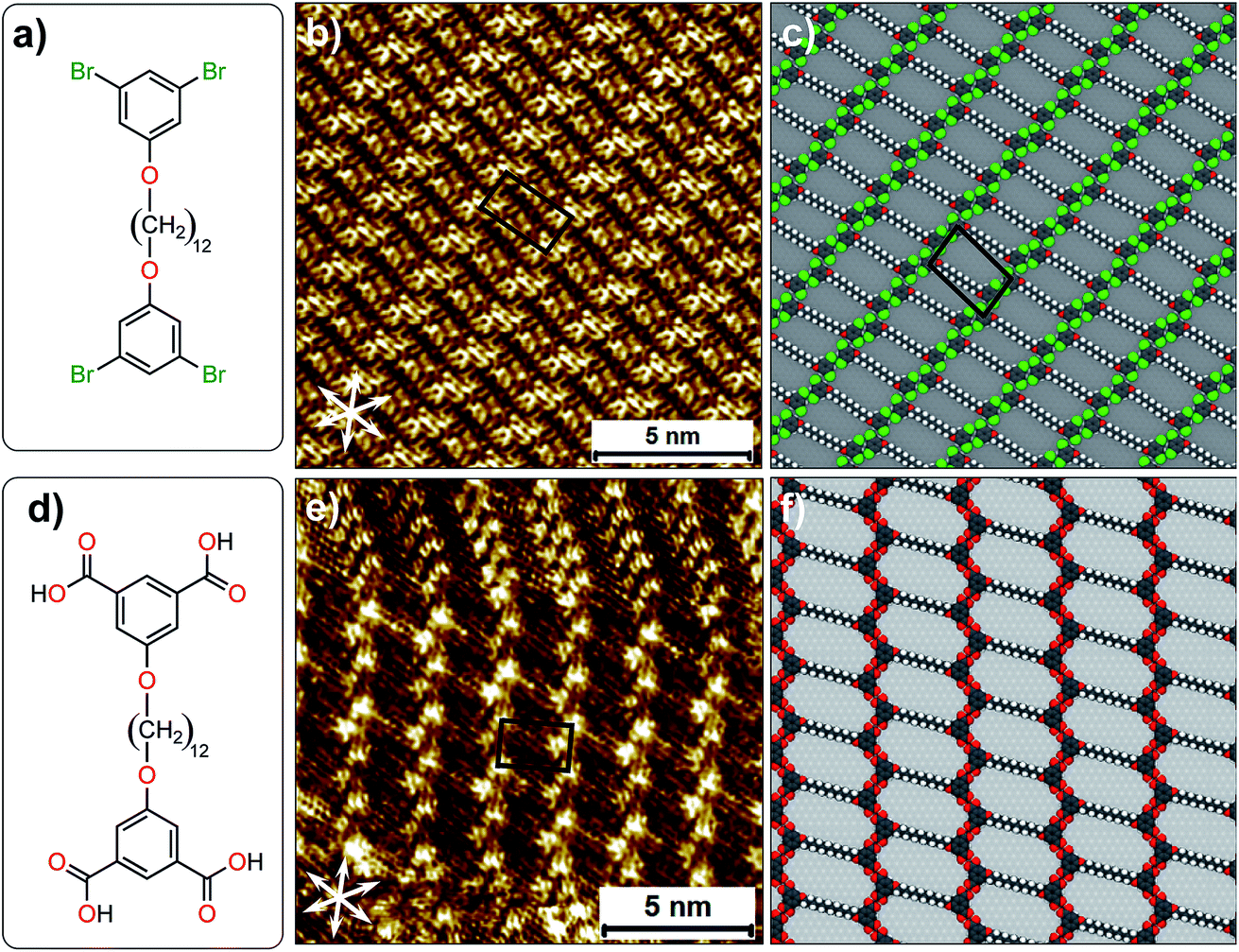 Halogenated building blocks for 2D crystal engineering on solid ...