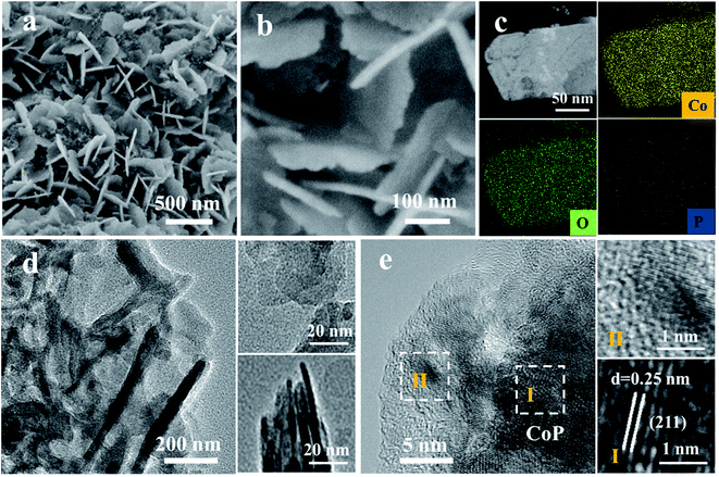 Surface reconstruction of cobalt phosphide nanosheets by ...