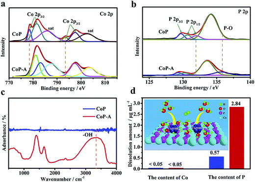 Surface reconstruction of cobalt phosphide nanosheets by ...