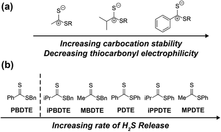 Dithioesters: simple, tunable, cysteine-selective H 2 S donors ...