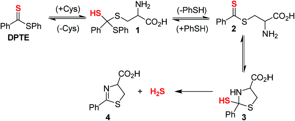 Dithioesters: simple, tunable, cysteine-selective H 2 S donors ...