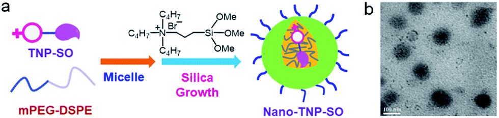 Activatable near-infrared emission-guided on-demand administration of ...