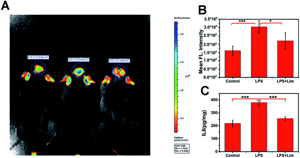 In situ visualization of ozone in the brains of mice with depression phenotypes by using a new ...