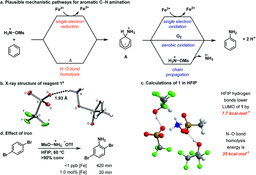 Aromatic C–H amination in hexafluoroisopropanol - Chemical Science (RSC ...