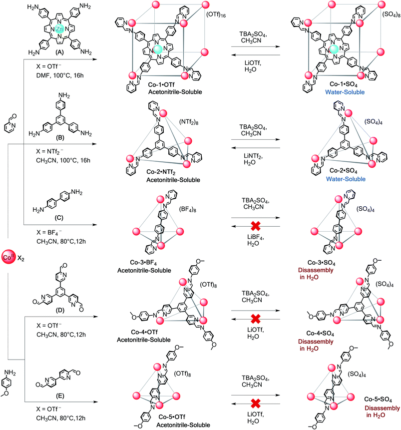 Waterproof architectures through subcomponent self-assembly - Chemical ...
