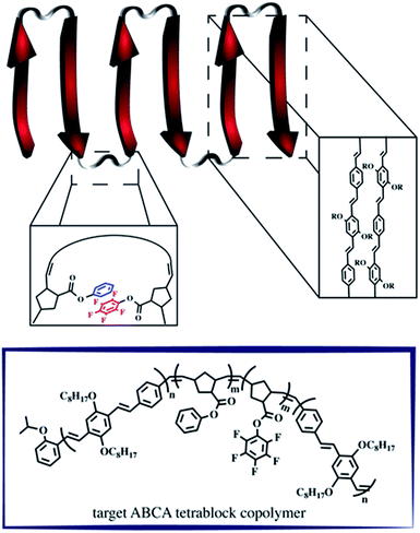 Synthesis and folding behaviour of poly( p -phenylene vinylene)-based β ...