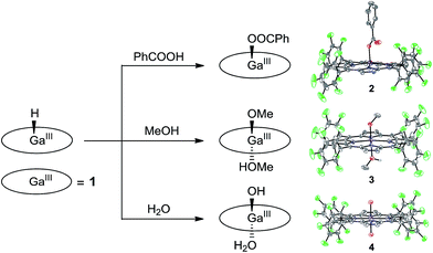 Electrocatalytic hydrogen evolution with gallium hydride and ligand ...