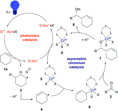 Catalytic asymmetric allylation of aldehydes with alkenes through ...