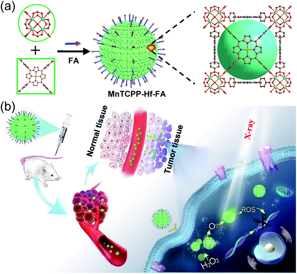 Catalase-like metal–organic framework nanoparticles to enhance radiotherapy in hypoxic cancer ...