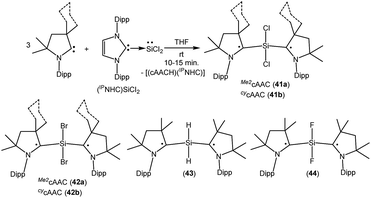 Stable cyclic (alkyl)(amino)carbene (cAAC) radicals with main group ...