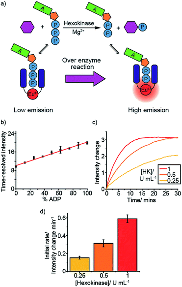 A simple, robust, universal assay for real-time enzyme monitoring by ...