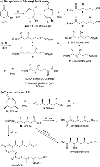 Asymmetric Baeyer–Villiger oxidation: classical and parallel kinetic ...