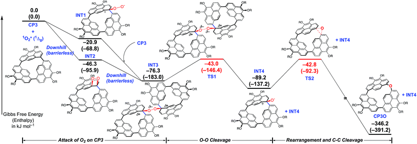 A remarkably strained cyclopyrenylene trimer that undergoes metal-free ...