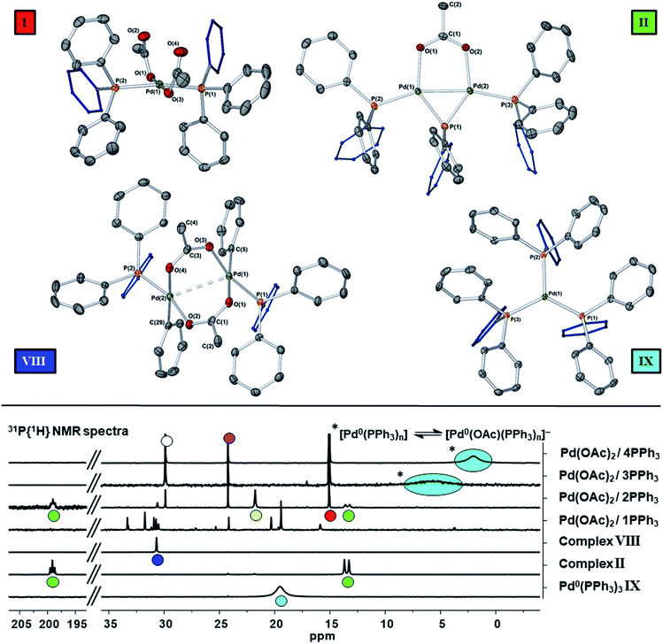 The ubiquitous cross-coupling catalyst system ‘Pd(OAc) 2 ’/2PPh 3 forms ...