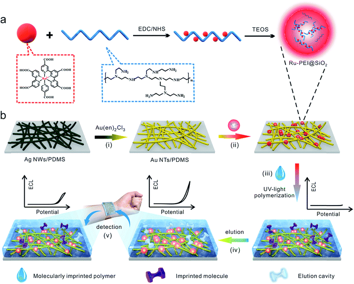 Construction of a flexible electrochemiluminescence platform for sweat ...