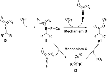 Caesium fluoride-mediated hydrocarboxylation of alkenes and allenes: scope and mechanistic ...