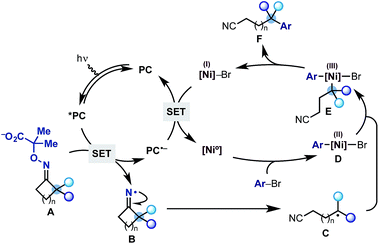 A dual photoredox-nickel strategy for remote functionalization via ...