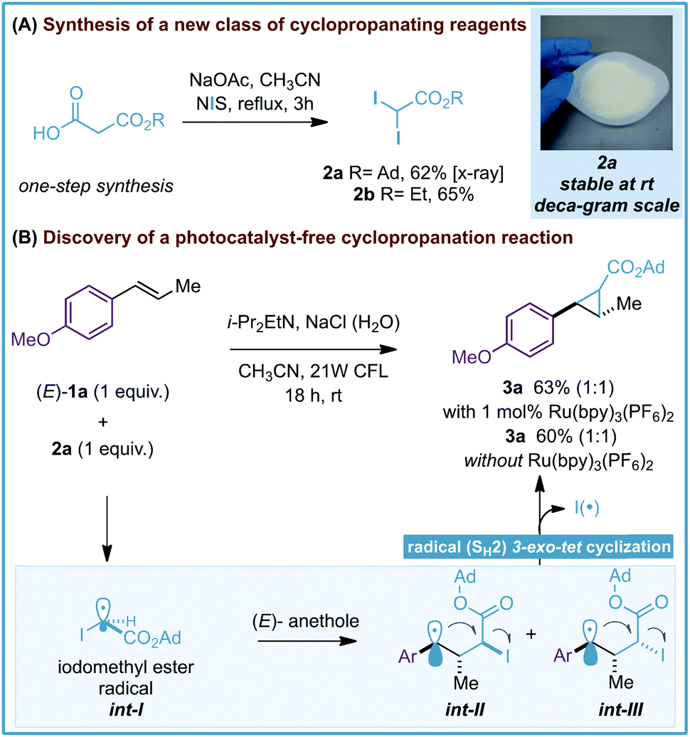 A transition-metal-free & diazo-free styrene cyclopropanation ...