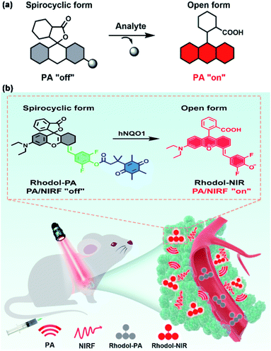 Engineering an NIR rhodol derivative with spirocyclic ring-opening ...