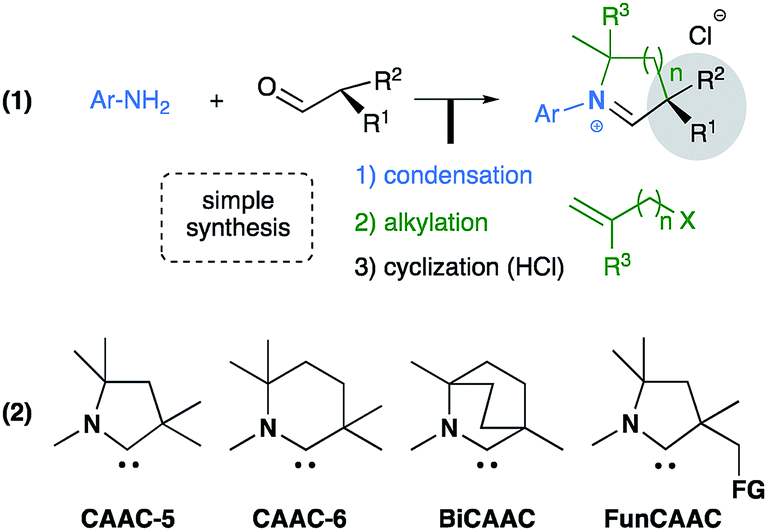 The debut of chiral cyclic (alkyl)(amino)carbenes (CAACs) in ...
