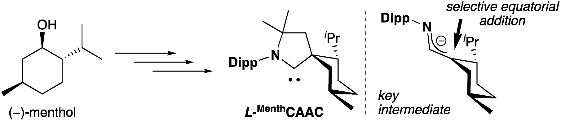 The debut of chiral cyclic (alkyl)(amino)carbenes (CAACs) in ...