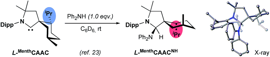 The debut of chiral cyclic (alkyl)(amino)carbenes (CAACs) in ...