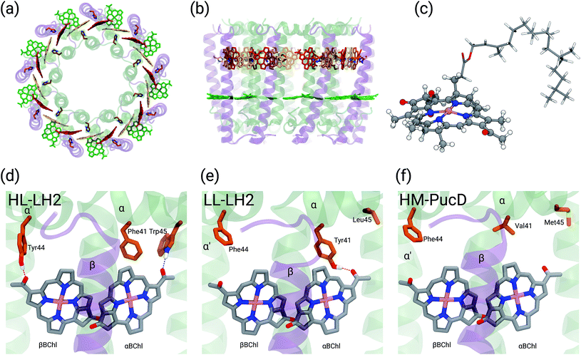 The molecular mechanisms of light adaption in light-harvesting ...