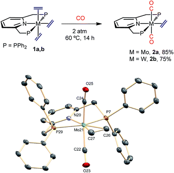Molybdenum and tungsten complexes with carbon dioxide and ethylene ...