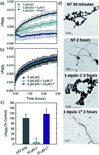 Bifunctional ligand design for modulating mutant p53 aggregation in ...
