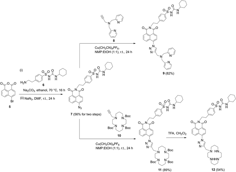Endoplasmic reticulum targeting fluorescent probes to image mobile Zn 2 ...