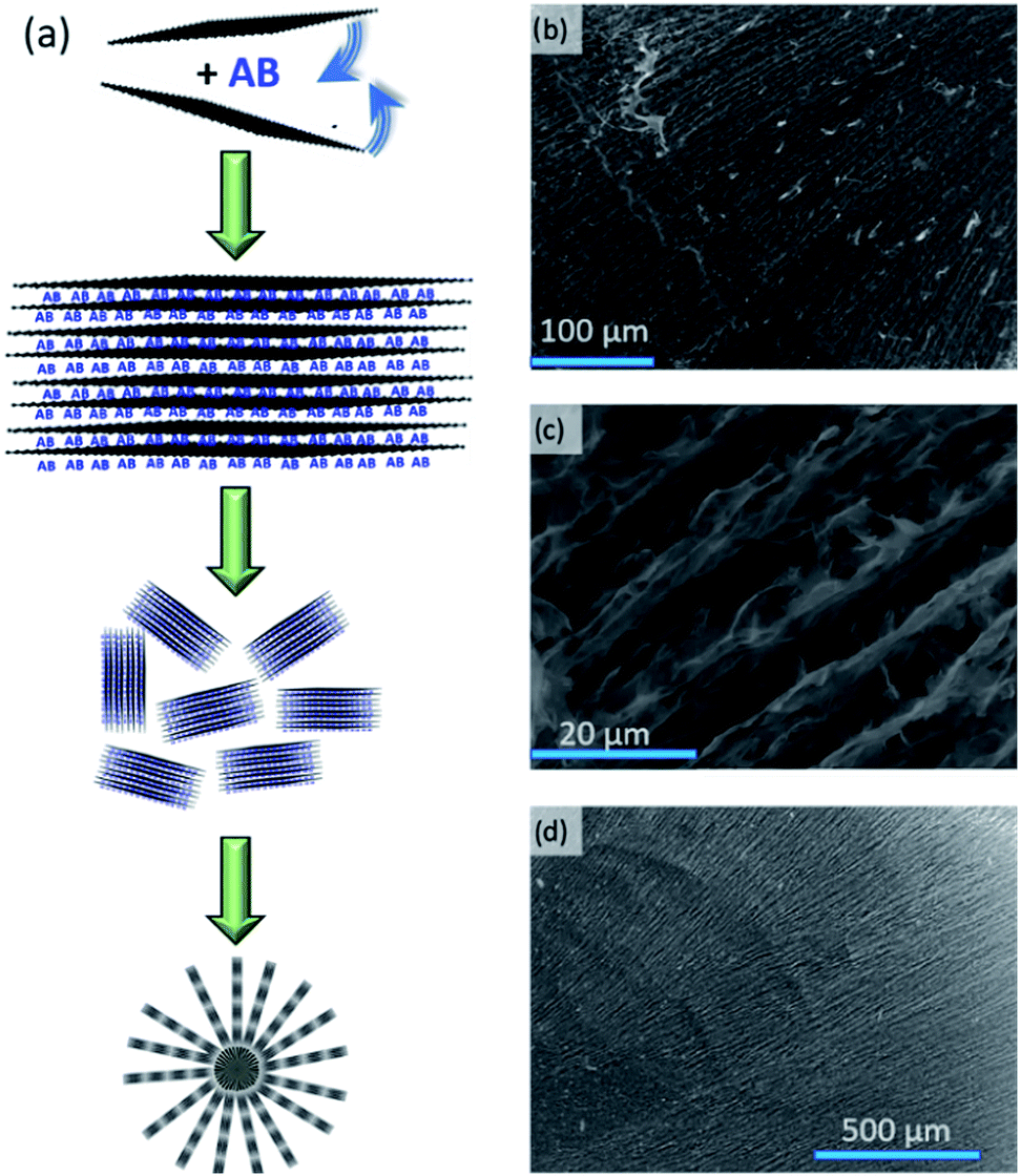 Nano-inclusion in one step: spontaneous ice-templating of porous ...