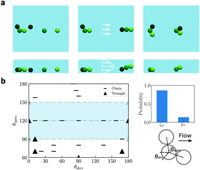 Flow-assisted droplet assembly in a 3D microfluidic channel - Soft ...