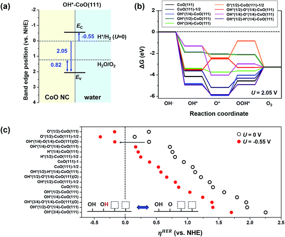 Mechanism for spontaneous oxygen and hydrogen evolution reactions on ...