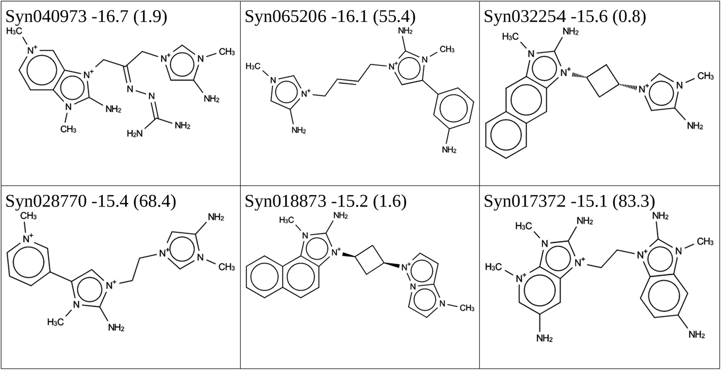 Design of organic structure directing agents for polymorph A zeolite ...