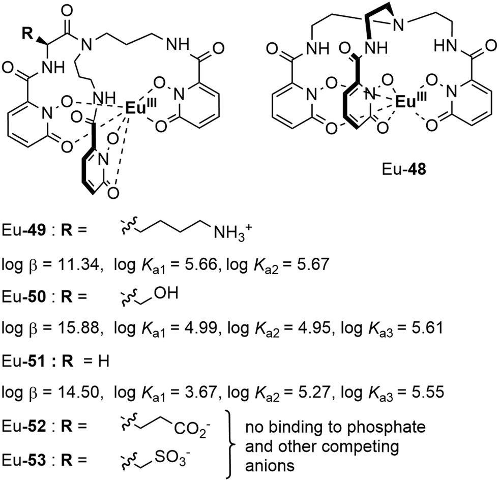 Inorganic Phosphate