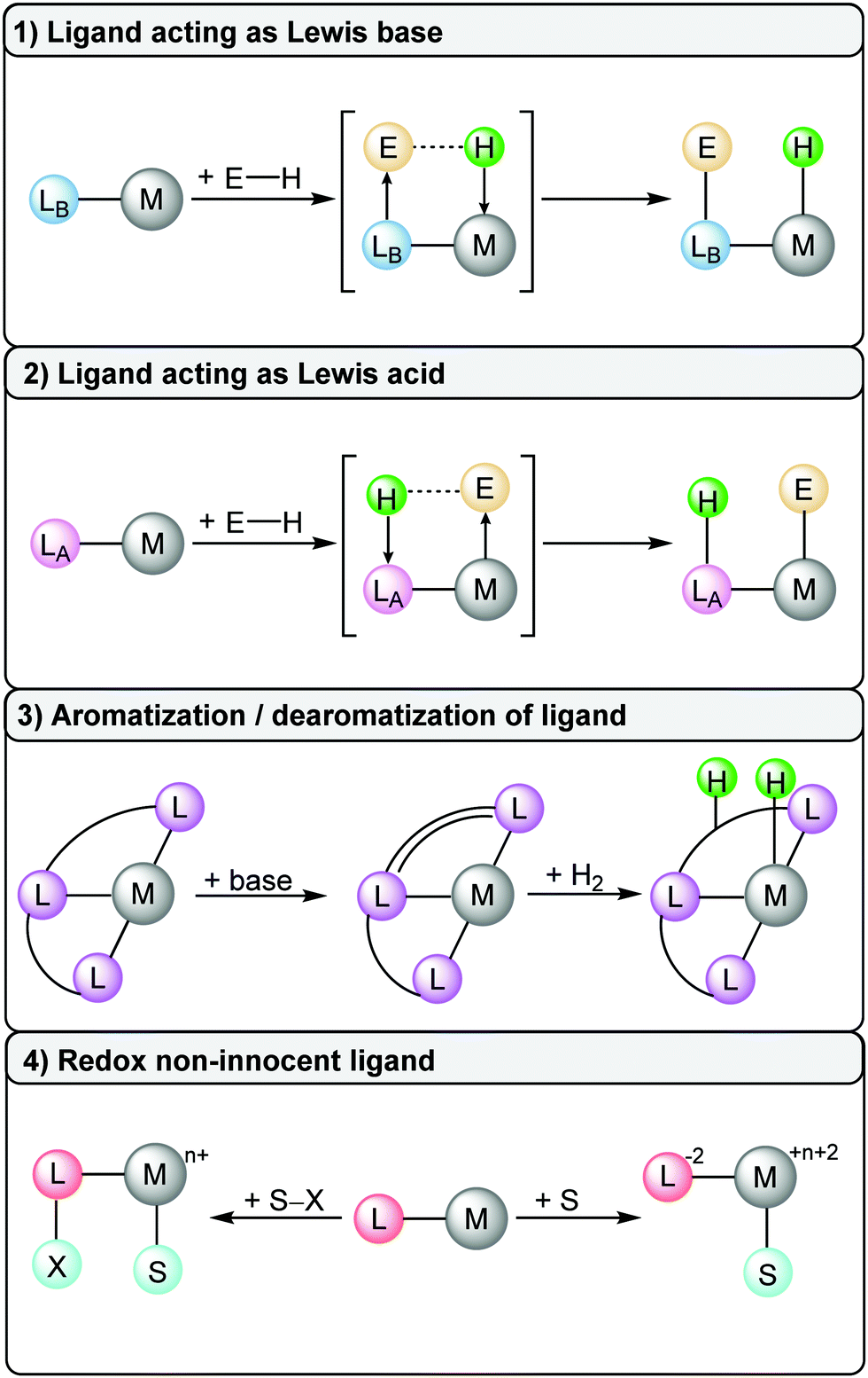 Strategies and mechanisms of metal–ligand cooperativity in first-row ...