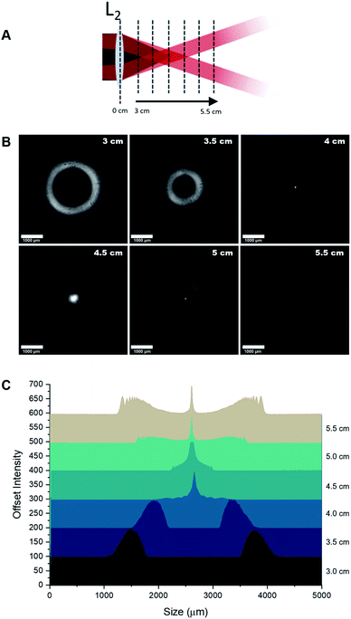 Through-bottle whisky sensing and classification using Raman ...